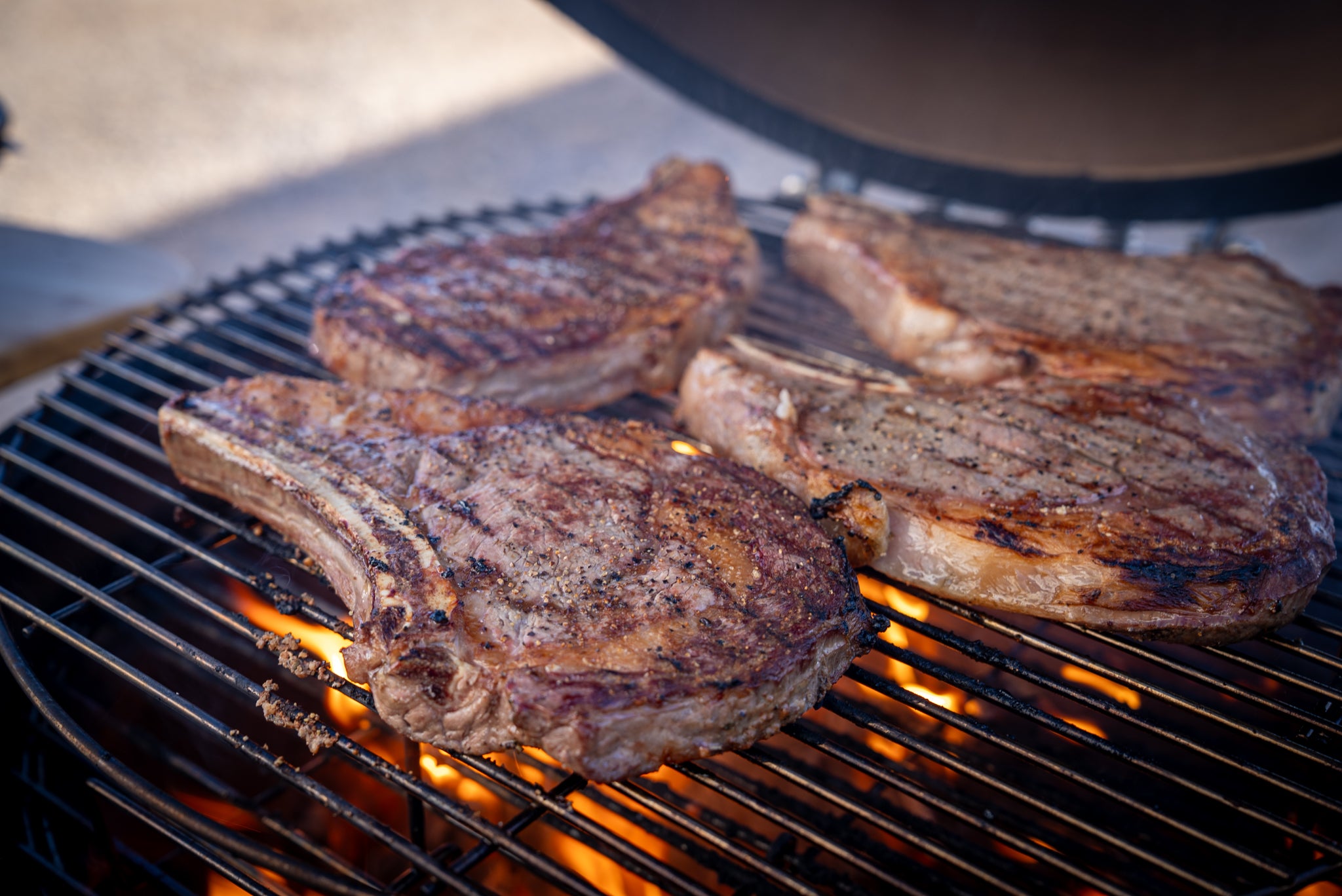 The Box of Ribeyes – Colorado Craft Beef