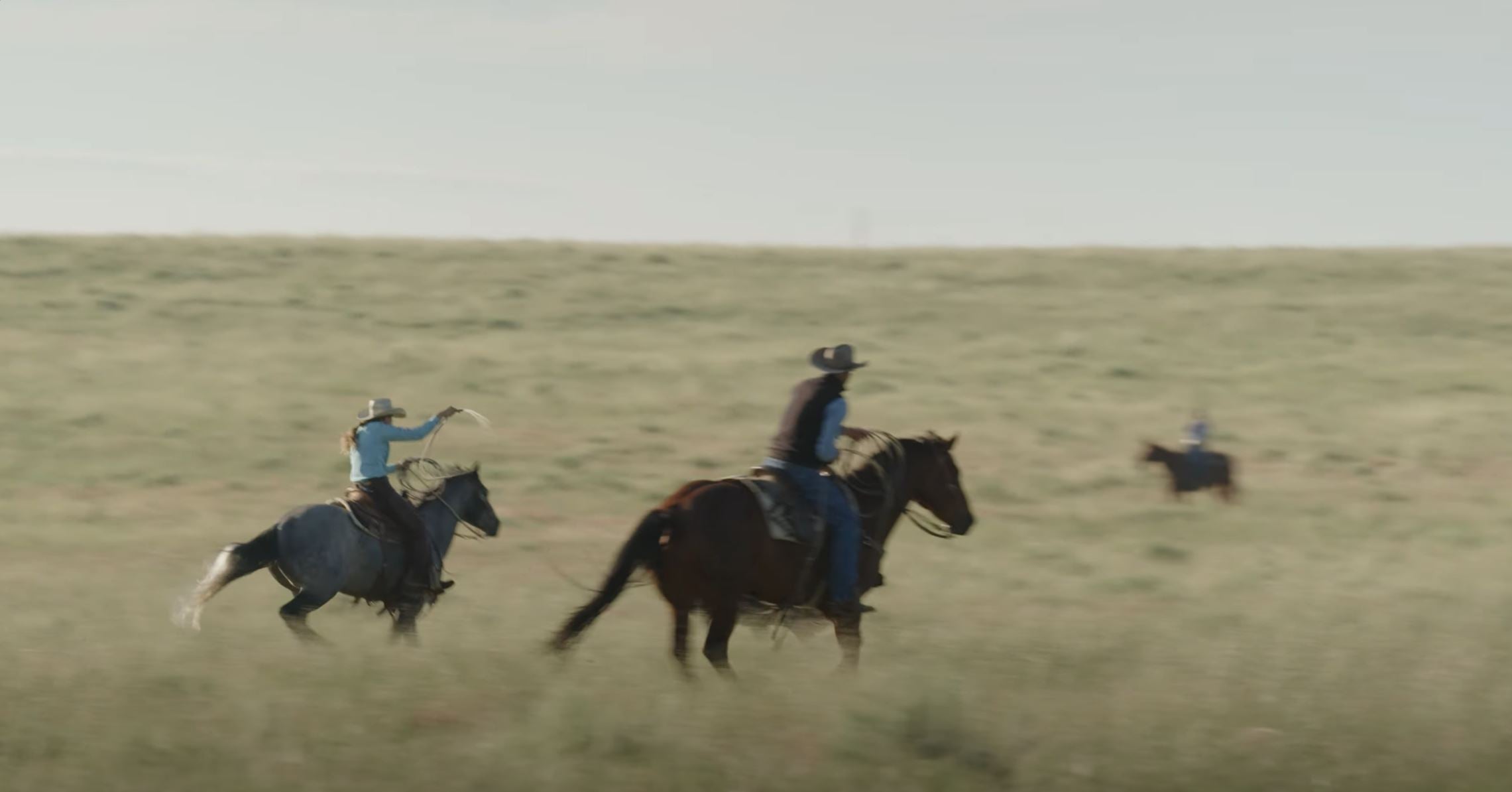 The finest Coloradan beef shipped direct and nationwide from our ranch ...